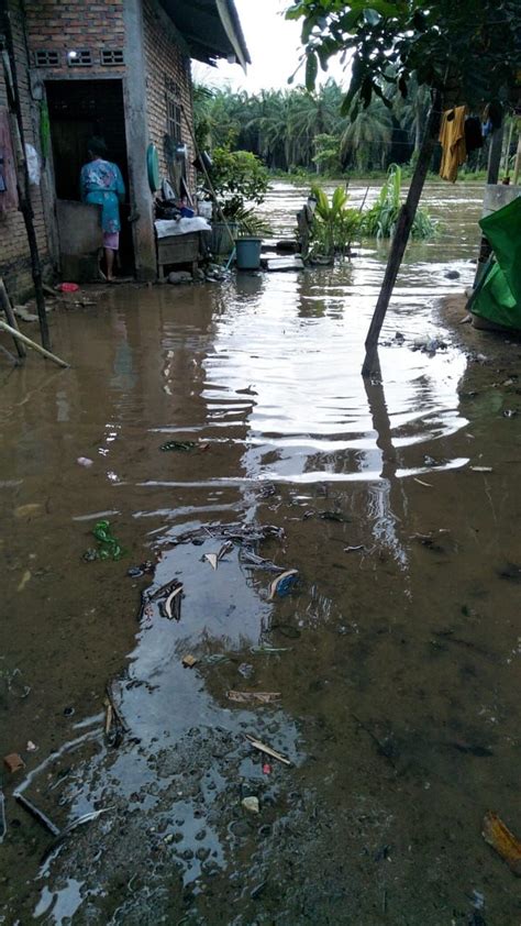 Air Sungai Meluap Puluhan Rumah Di Langkat Terendam Banjir