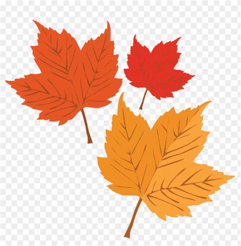 Fall Leaves Svg Leaf Svg Leaves Svg Bundle Autumn Leaf Svg Etsy The