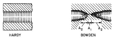 Boundary Lubrication Model Hardy Adsorption Of Monolayer Of Polar Download Scientific Diagram