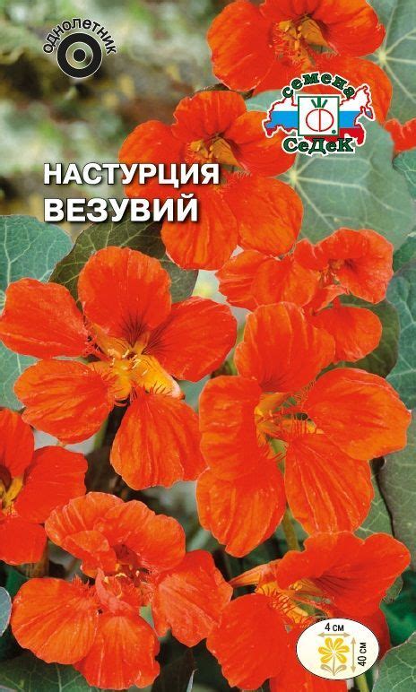 Основной каталог товаров Семена - Интернет-магазин СеДеК