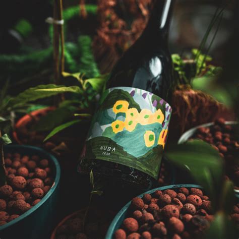 Vins Du Languedoc Modernes Et Engagés Aubert Et Mathieu