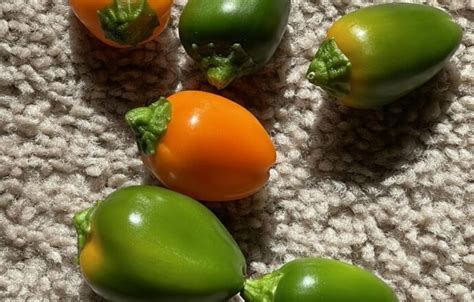 Perception What Does That Mean Dr Jeanette Gallagher