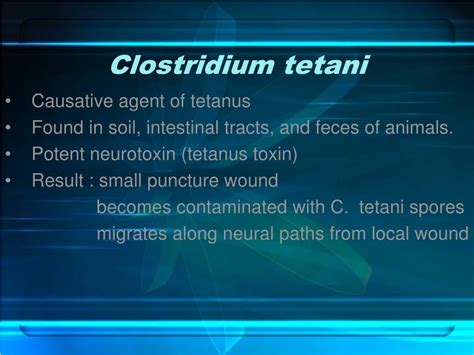 Ppt Clostridium Powerpoint Presentation Free Download Id 582178