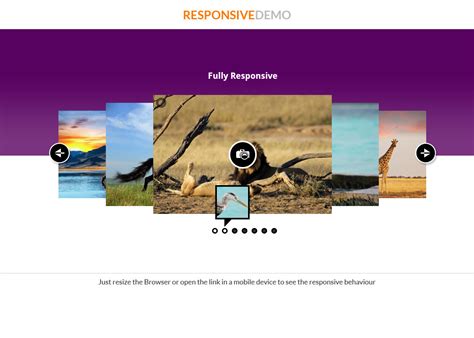 Multimedia Responsive Carousel With Image Video Audio Support WordPress Plugin By LambertGroup