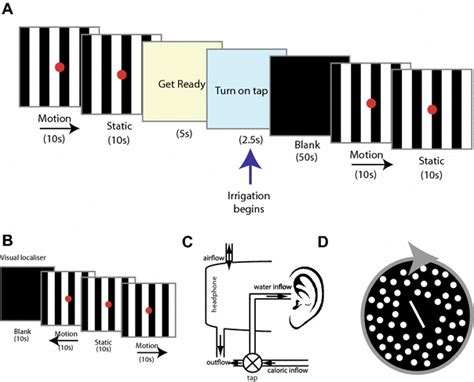 Experimental Design And Apparatus A Schematic Of Visuo Vestibular