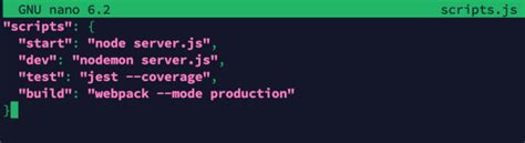 How To Set Up And Configure Packagejson For Nodejs Development