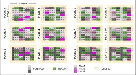 Figure 1 From Applying Deep Neural Network Analysis To High Content Image Based Assays