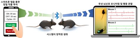 고려대 조일주 교수팀 약물 투여와 동시에 뇌신호 측정이 가능한 무선 브레인칩 개발 성공 고대의대 교우회