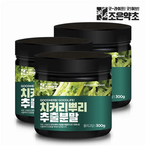 치커리 뿌리 추출물 100 분말 가루 300g X 3 홈플러스 택배배송