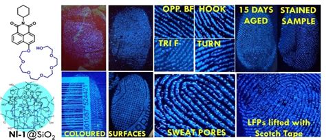 Fluorescent‐dye‐doped Nanoporous Silica Powder For Imaging Of Latent Fingerprints Levels 1 3