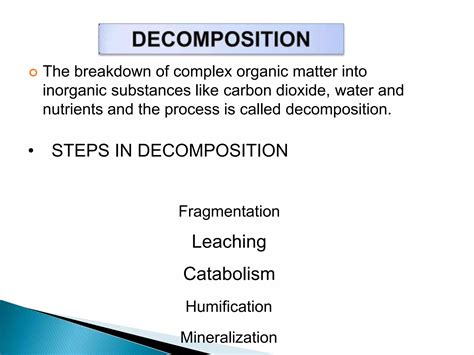 Concept Of Ecosystem Pptx