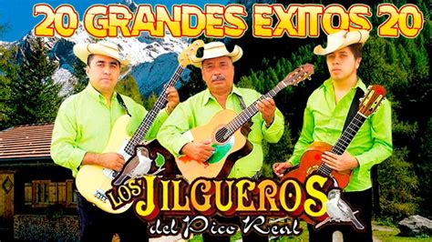 Los Jilgueros Del Pico Real Corridos Pesados Album Completo