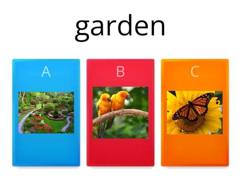 Unit 3 Lesson 1 3 Quiz