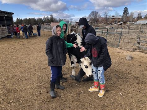Meeting Farm Animals Redmond Proficiency Academy