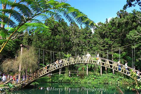 3mg1214 University Pond Chitou Nantou County Taiwan 溪頭 大學池 竹橋 拱橋