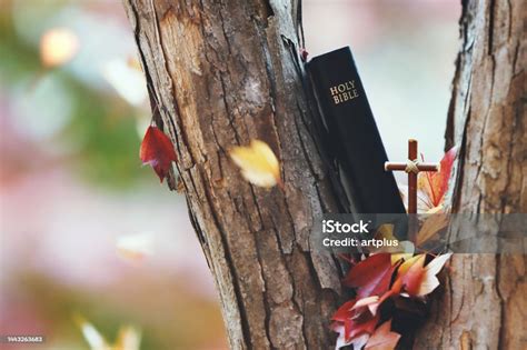 떨어지는 붉은 단풍잎과 예수 그리스도와 성경의 십자가 0명에 대한 스톡 사진 및 기타 이미지 0명 가을 가을 단풍