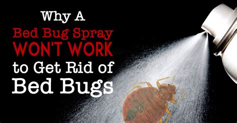 Why A Bed Bug Spray Wont Work To Get Rid Of Bed Bugs