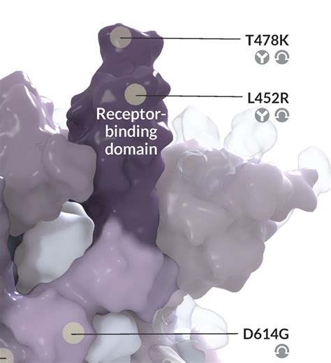 Visualizing Mutation Falconieri Visuals Blog