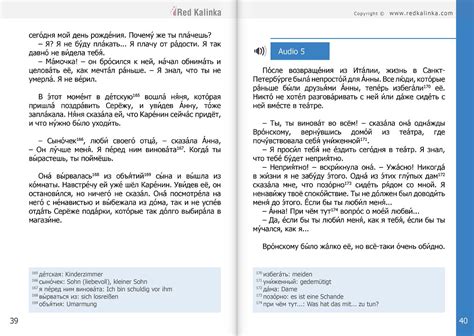 Russische Klassiker Anna Karenina Ebook Sistema Kalinka