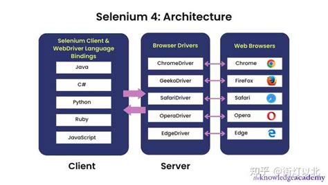 Selenium和webdriver到底什么关系？ 知乎