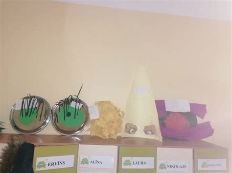 Mans ķermenis Template