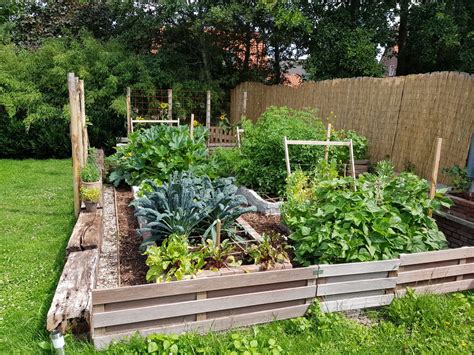 Eigen Moestuin Beginnen Weddingplanner Cilvie