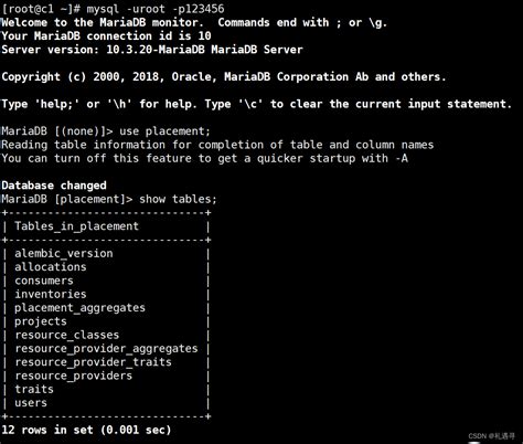 安装配置验证placementlinux中安装openstack Placement Api Csdn博客
