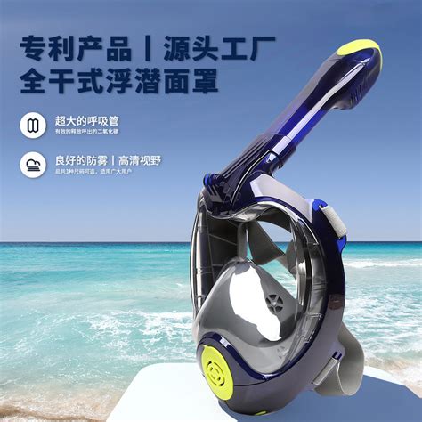 Thenice潛水面罩面具游泳眼鏡矽膠成人全乾式矽膠浮潛套裝潛水鏡 蝦皮購物