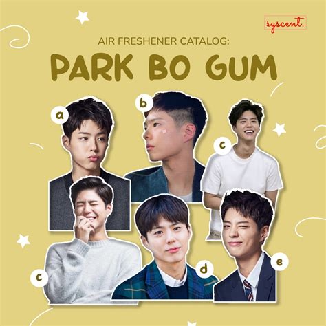 Jual Syscent Air Freshener Park Bo Gum Parfum Mobil Pewangi Ruangan