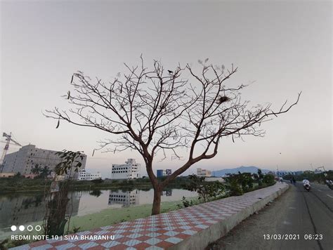 Redmi Note 10 Camera Samples