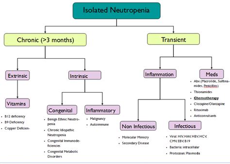 Isolated Neutropenia Differential Diagnosis Algorithm Chronic