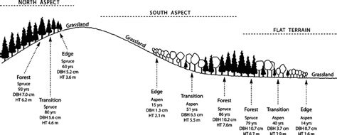 Cross Sectional Representation Of Forestgrassland Ecotones On The