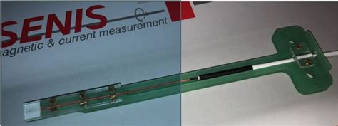 Magnetometers Senis Ag