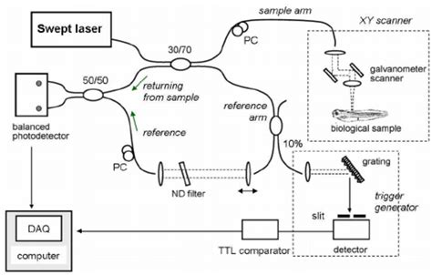 Schematic Of The Optical Frequency Domain Imaging System Download