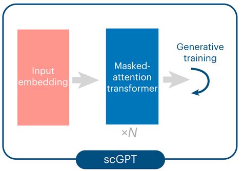 单细胞组学大模型（3） Scgpt，有非常详细的学习文档和应用说明，且有多种训练数据权重！scgpt代码解读 Csdn博客