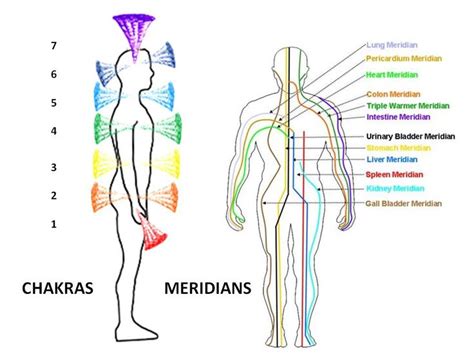 What Are Chakras And Meridians And How Do They Relate With Our Body And