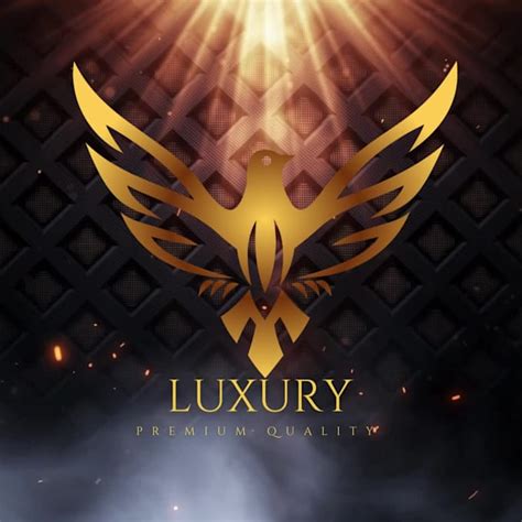 Create A Custom Youtube Introintro Videologo Animation 24h By Goudimirida Fiverr