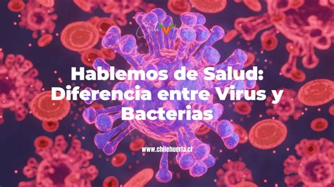 Hablemos De Salud Diferencia Entre Virus Y Bacterias Chile Huerta