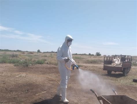 جملة من التدابير تتخذها المستشفى البيطري التعليمي في صلاح الدين للحد من