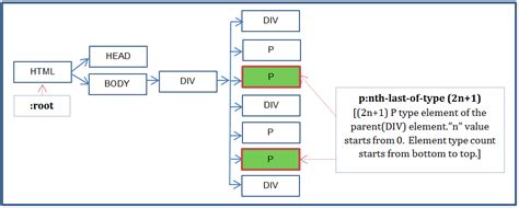 Nth Last Of Type Pseudo Class Example Code Dom Tree Css Computer Coding Cheat Sheets