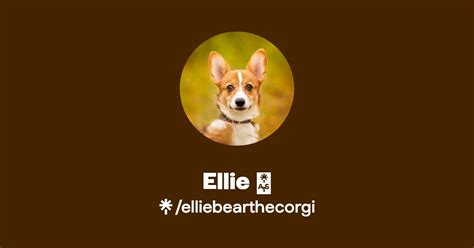 Ellie Tiktok Linktree
