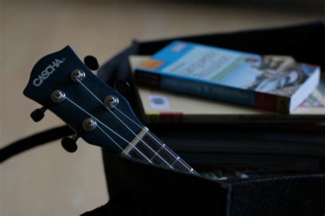 Images Gratuites vacances France la musique Ukulélé loisir Macro