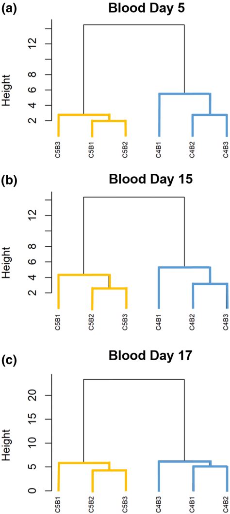 Hierarchical Cluster Analysis Hca Dendrogram Based On The Euclidian