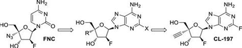 4 Ethynyl 2 deoxy 2 β fluoro 2 fluoroadenosine A Highly Potent and