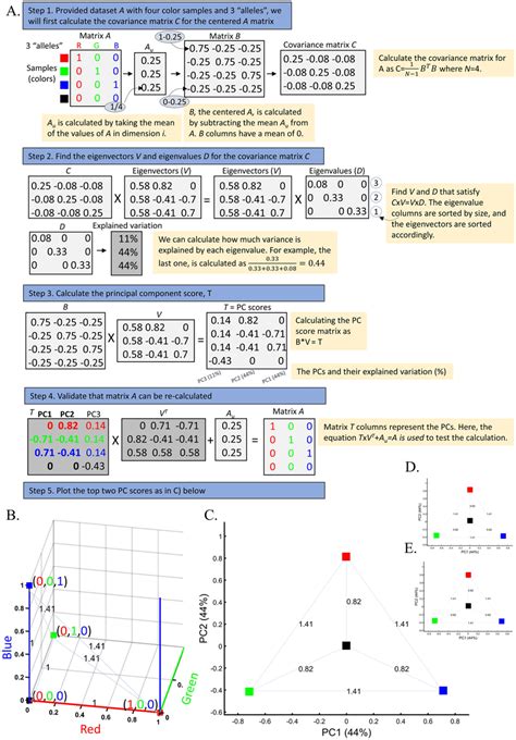 Applying Pca To Four Color Populations A An Illustration Of The Pca Download Scientific
