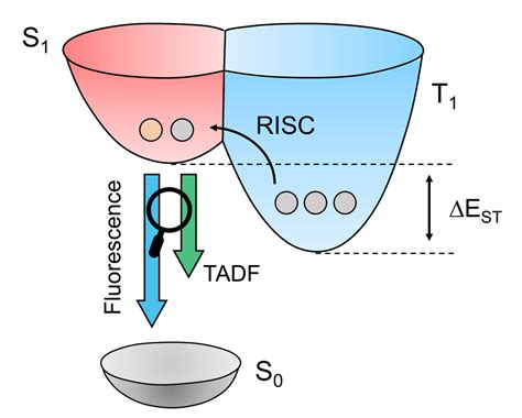 Understanding Of Complex Spin Up Conversion Processes In Charge