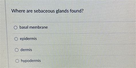 Where Are Sebaceous Glands Found Basal Membrane Epidermis Dermis