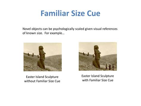 Ppt 3d Space Perception Aka Depth Perception Powerpoint