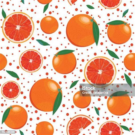 오렌지 과일과 흰색 배경에 반짝이와 슬라이스 원활한 패턴 자몽 감귤류 과일 벡터 그림입니다 0명에 대한 스톡 벡터 아트 및 기타 이미지 Istock