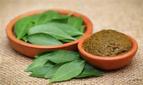 ۱۵۰ طرح حنا فانتزی روی دست دخترانه جدید و فوق العاده زیبا دوره های دترلند